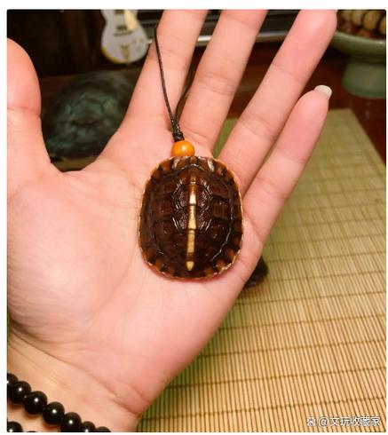 文玩龟壳腥味怎么去除图标