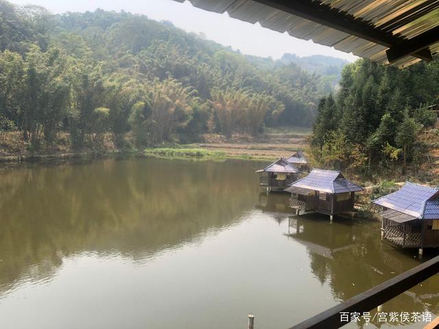一处鱼塘的处对不对图标