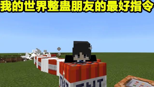 mc整蛊朋友指令截图