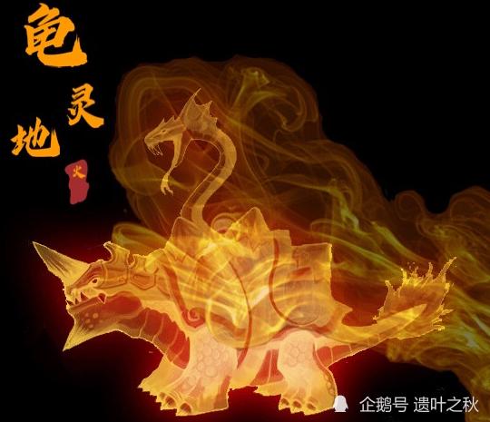 乌龟和王八哪个有灵性图标