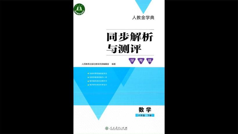 2025《同步解析与测评》六年级人教版图标