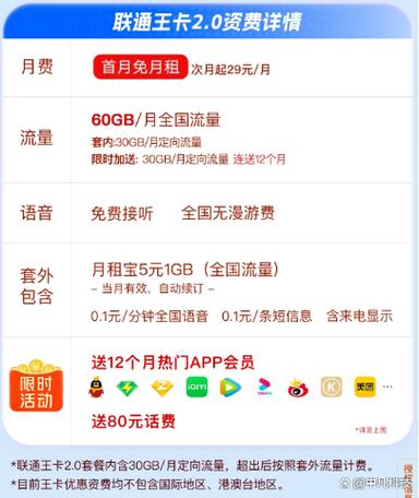 联通大王卡29元套餐详情图标