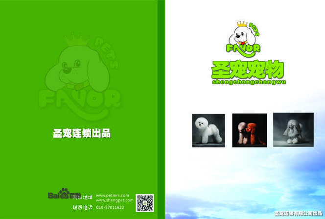 狗狗书籍TXT图标