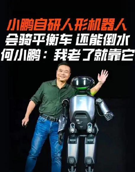 平衡车恢复出厂设置小视频截图
