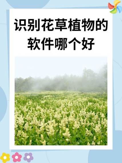 植物鉴定软件下载截图