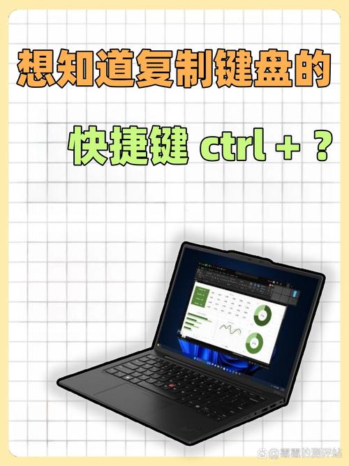 多个文本框复制的方法图标