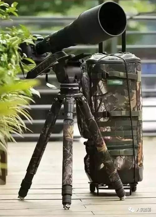 户外打鸟用什么光最好