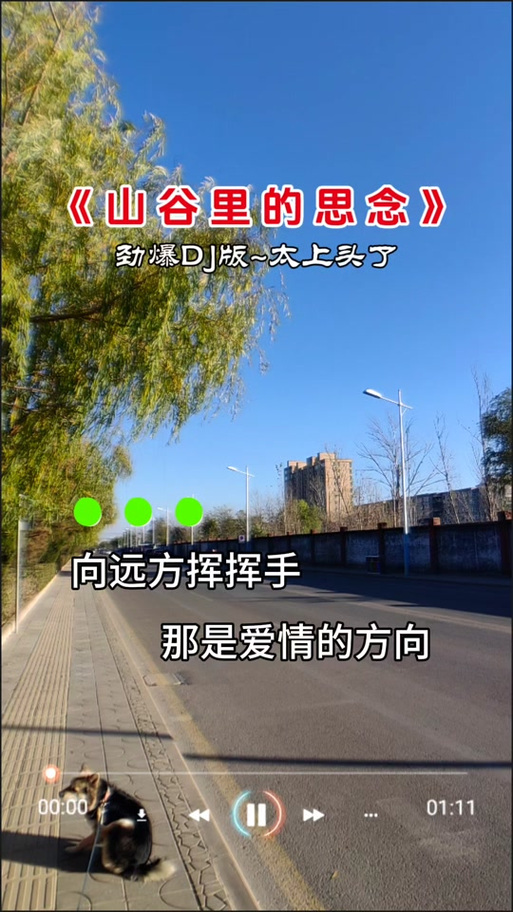 山谷思念是表白还是暧昧截图