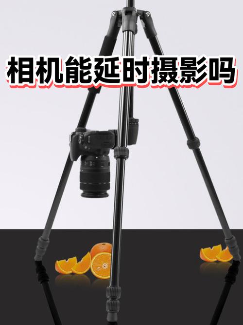 延时摄影的原理和作用截图