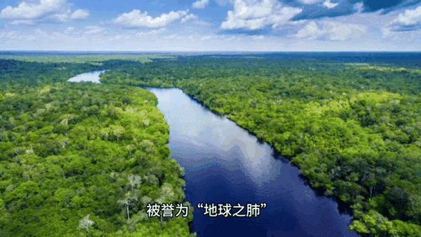 最大沼泽图标