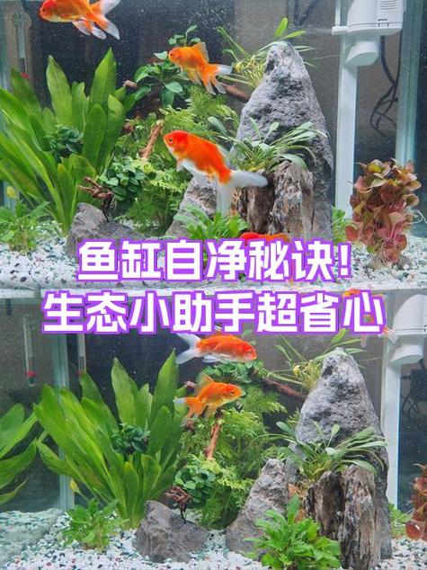鱼缸水浑浊怎么解决图标