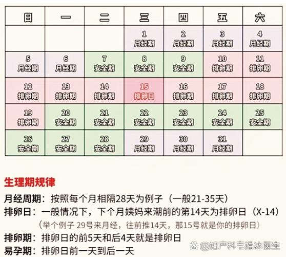 女性月经干净后第几天是排卵期图标