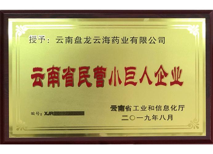 云海时代官网图标