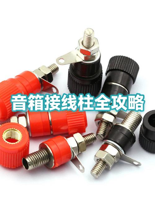 音箱接线柱有几种接法截图