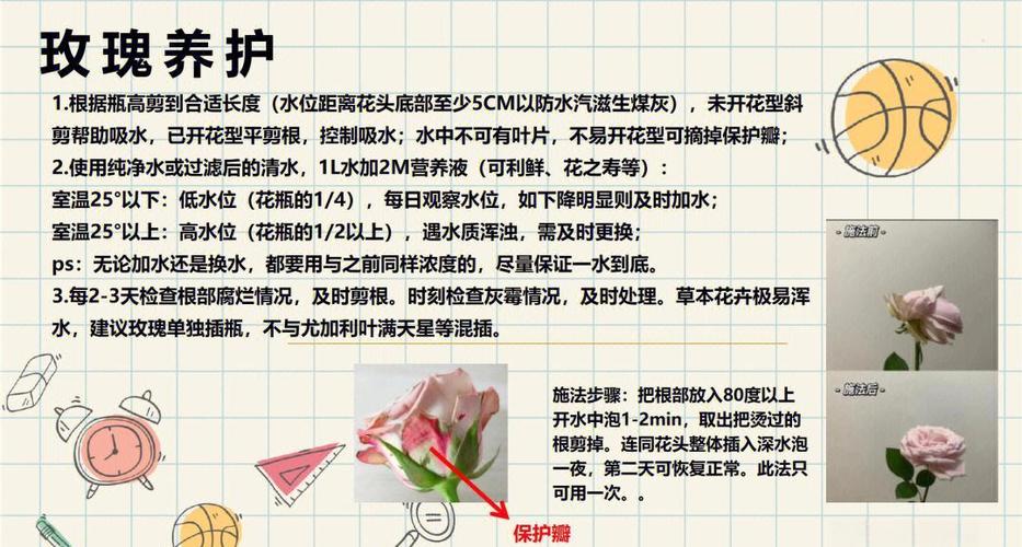 如何让鲜花保持更久截图