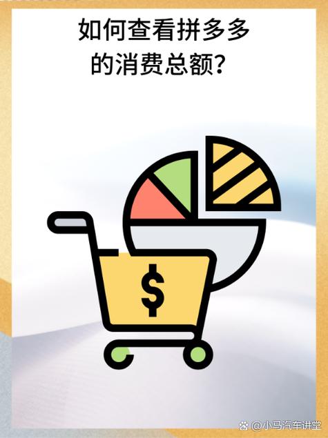 查拼多多消费总额图标
