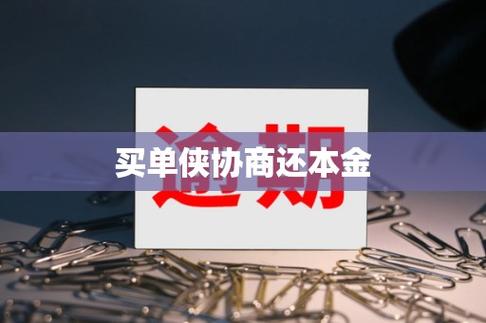 买单侠现金贷截图