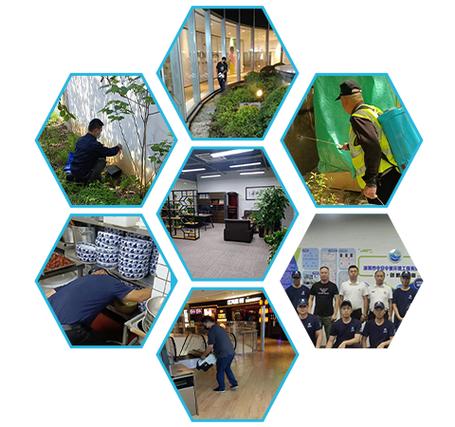 深圳市中景生态环境科技有限公司图标