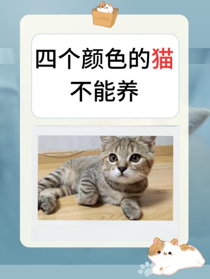 养母猫的好处图标