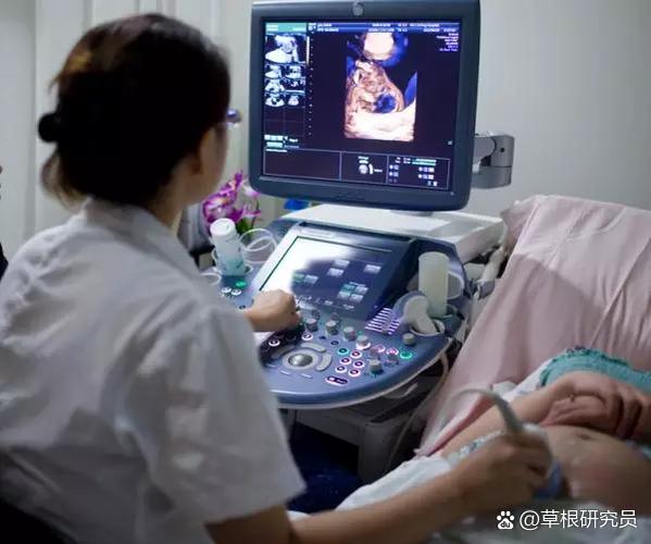 豆豆是女孩还是男孩图标