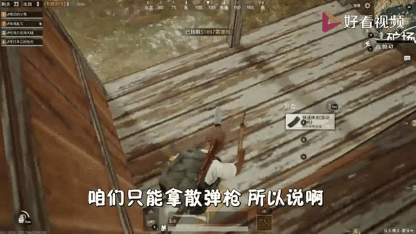 炮芯挑战狙吃鸡截图