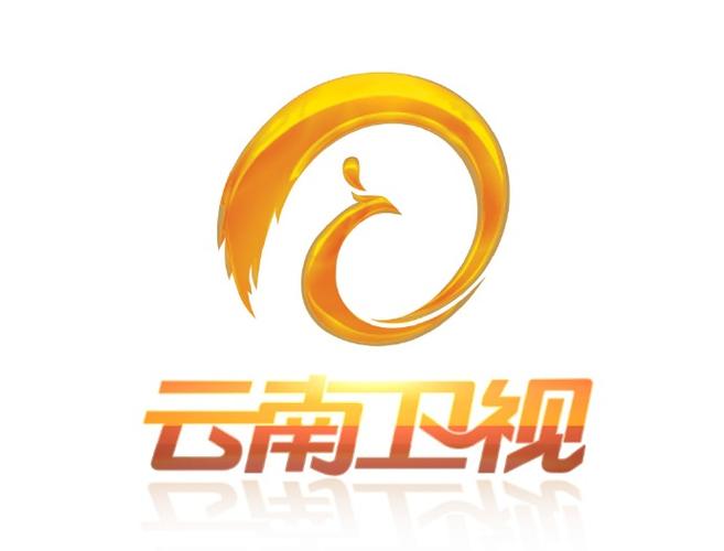 云南卫视官网图标