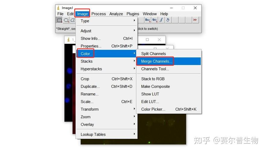 imageJ设置参数截图