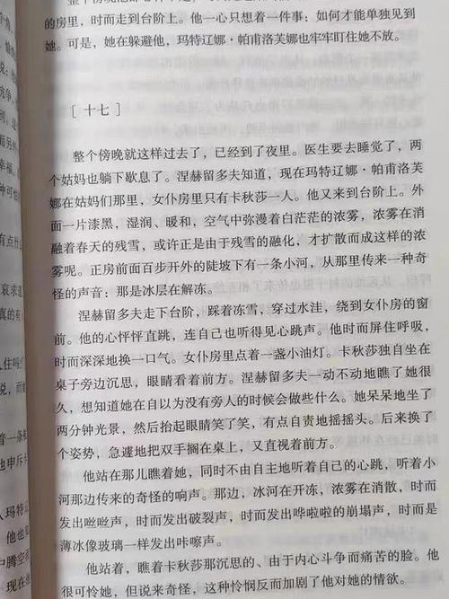 rudin的小说作品集图标