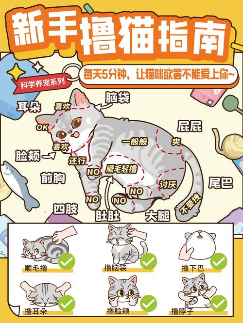 安卓萌猫激活码生成器图标