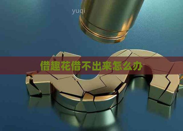 借趣花是什么平台图标