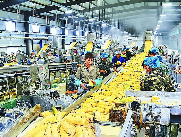 农村致富小型加工厂图标