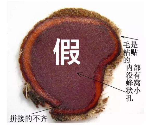 鹿茸片真假对照图图标