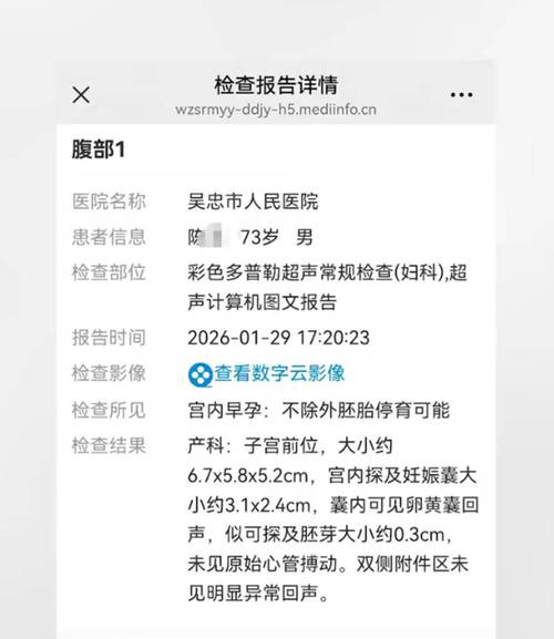 乌兰察布定期检查报告系统图标