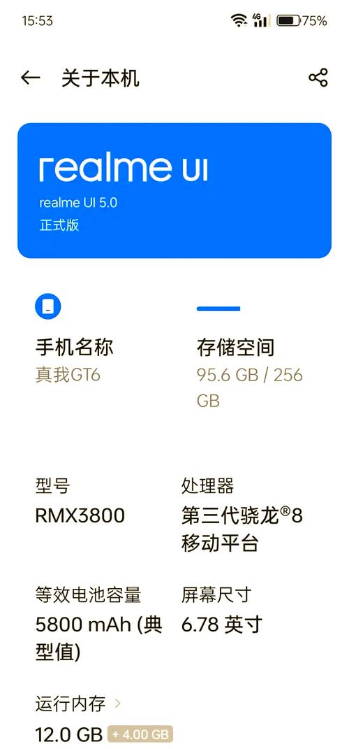 真我官网激活时间查询图标