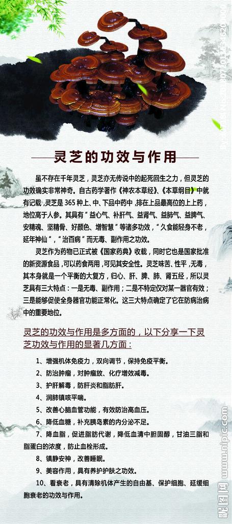 灵芝的功能主治图标