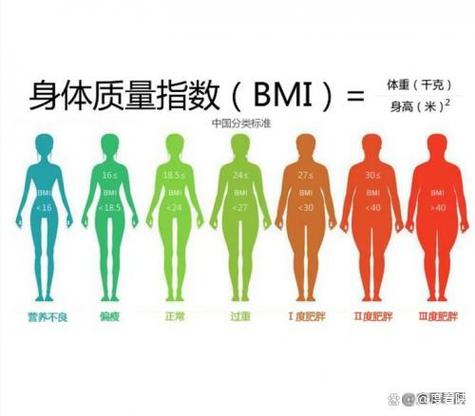 如何快速瘦一斤图标