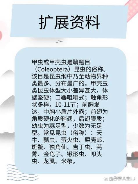 甲虫的功效与作用图标