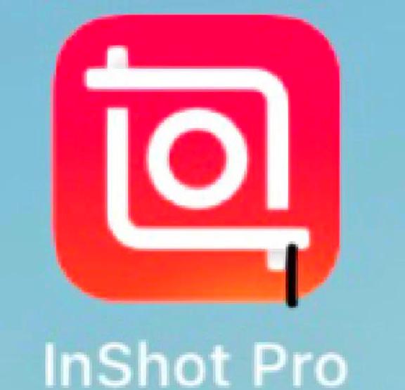 inshot会员版图标