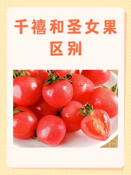 圣女果好还是千禧果好图标