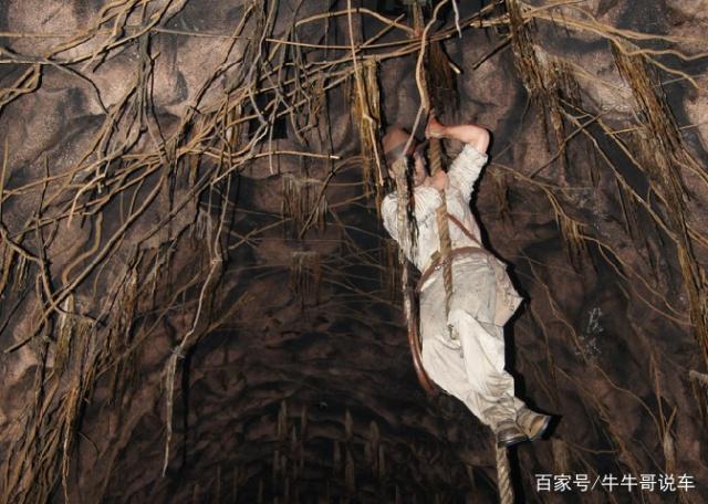 盗墓之问鼎长生图标