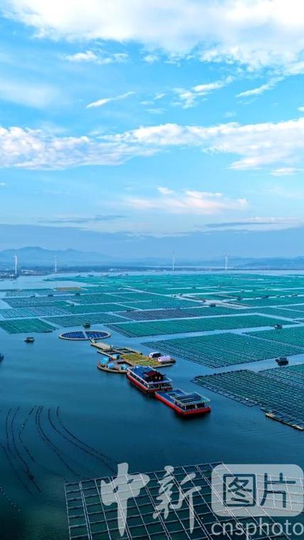 中国海洋牧场图标