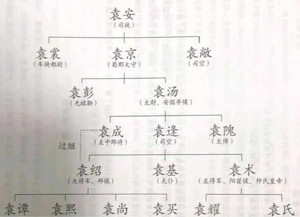 袁绍和袁术谁是嫡子图标
