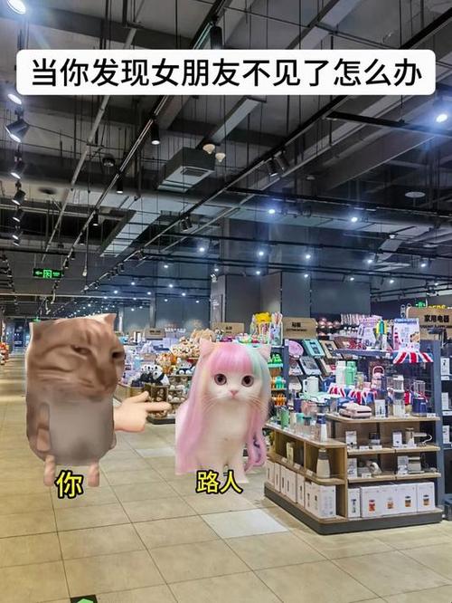 女朋友不见了怎么办图标