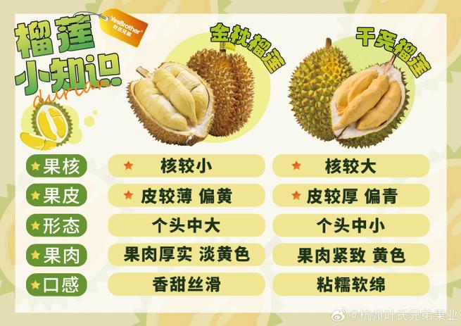 榴莲种类名称及图片图标