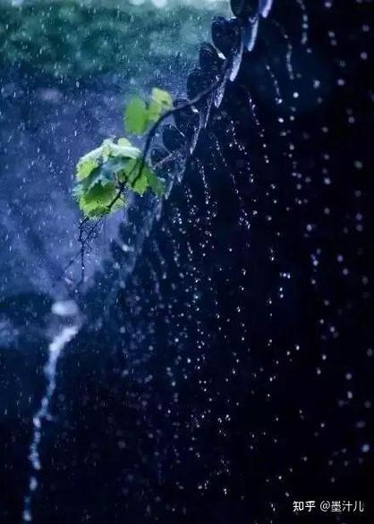 夜雨不带刀李诗芸图标