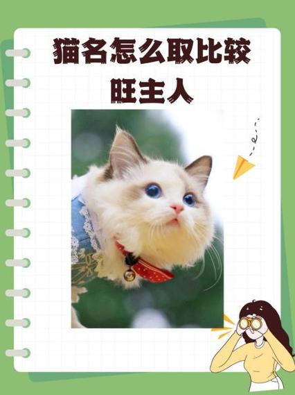 喵字好听稀少的名字图标