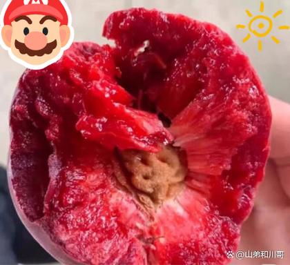 小桃子的家怎么做图标