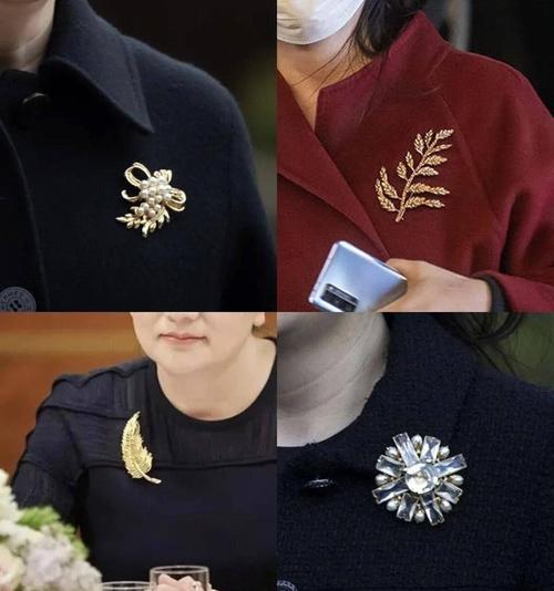 孟晚舟大衣胸针图标