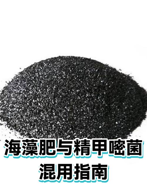 海藻精和海藻肥有什么区别图标