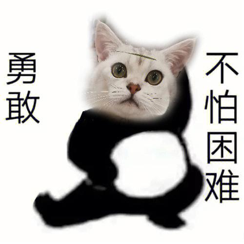 勇敢猫猫不怕困难图标